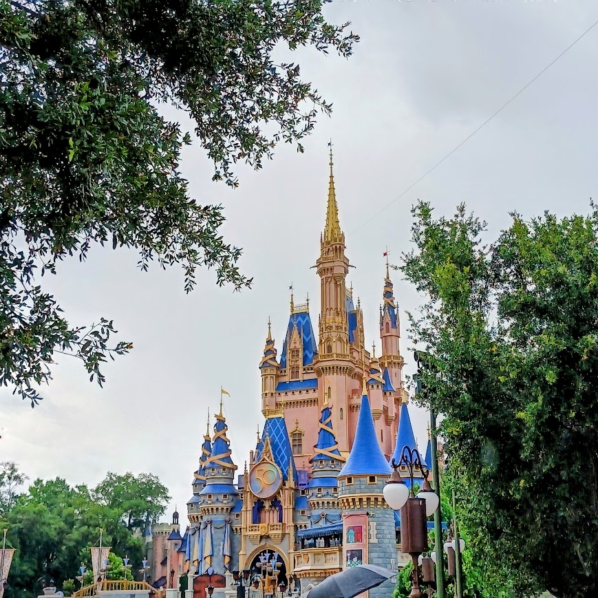 Step By Step Disney World Planning Guide - Chasing Wanderland